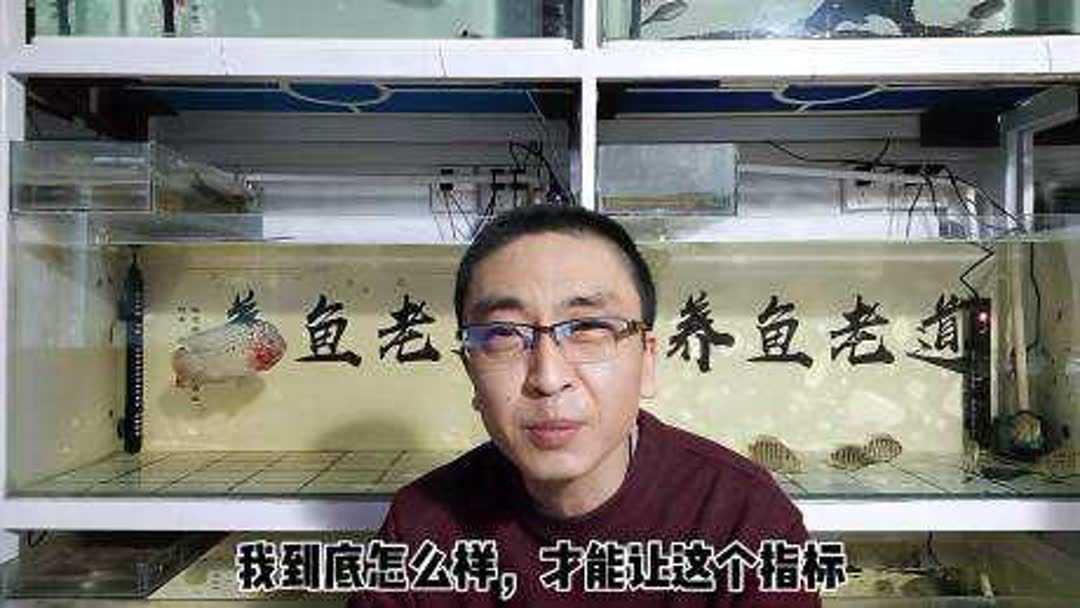 为什么不太建议新鱼友,频繁测试鱼缸水质的各项指标?