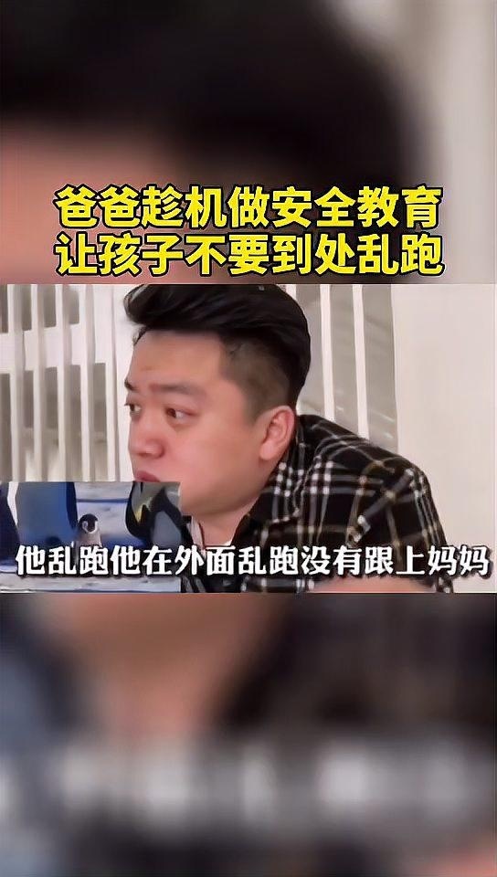 萌娃看动物世界崩溃大哭"小企鹅和妈妈走丢了",爸爸趁机做安全教育