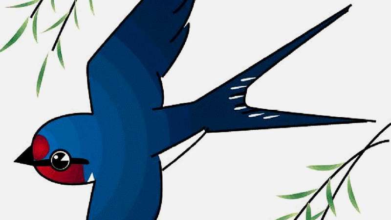 儿童简笔画:小燕子