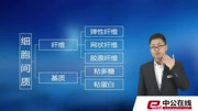 初中体育-运动人体科学-细胞的结构与功能