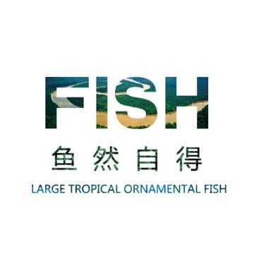 鱼然自得 