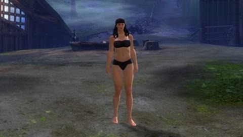 激战 激战2诺恩女性表情CBT