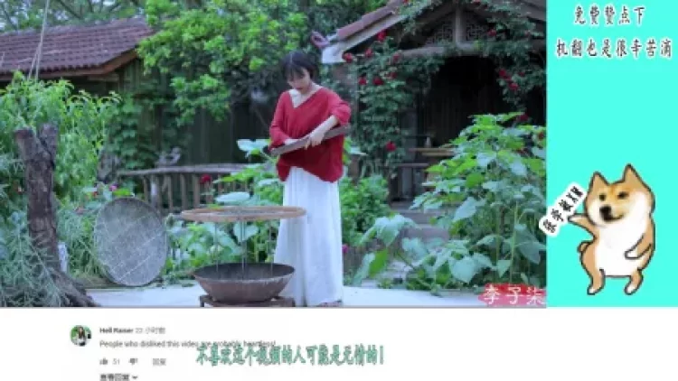 外国网友评论 谁能有幸娶了她 李子柒夏天制作《冰淇淋》评价视频 ...