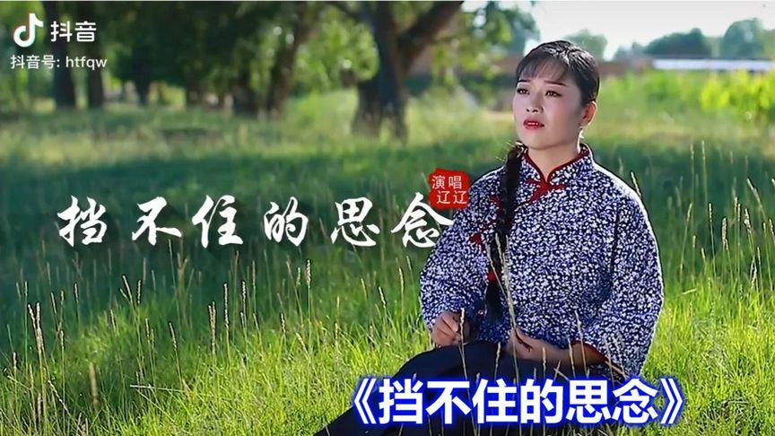 挡不住的思念~辽辽原版伴奏