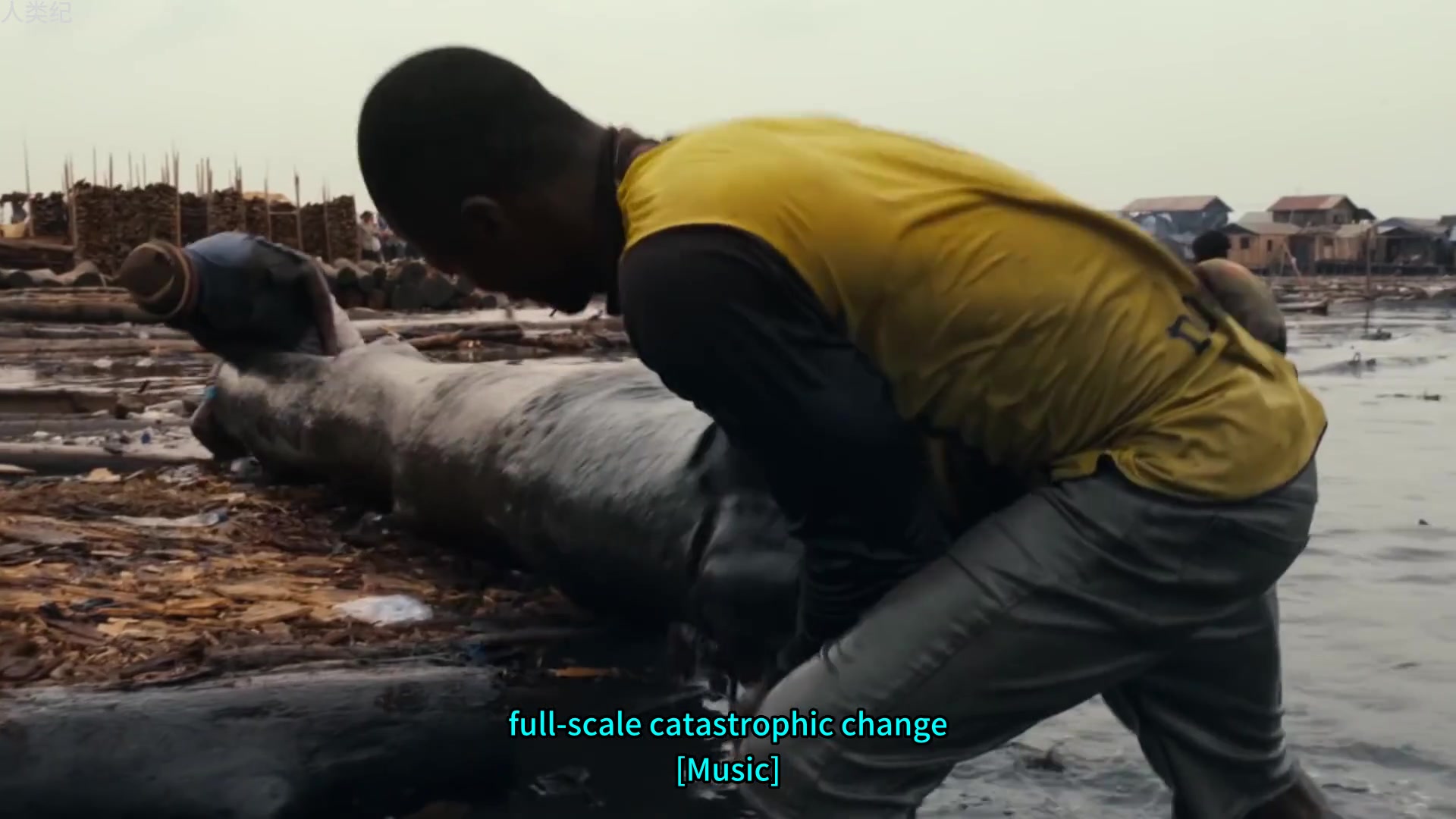 2019年全球最佳纪录片TOP10汇总合集