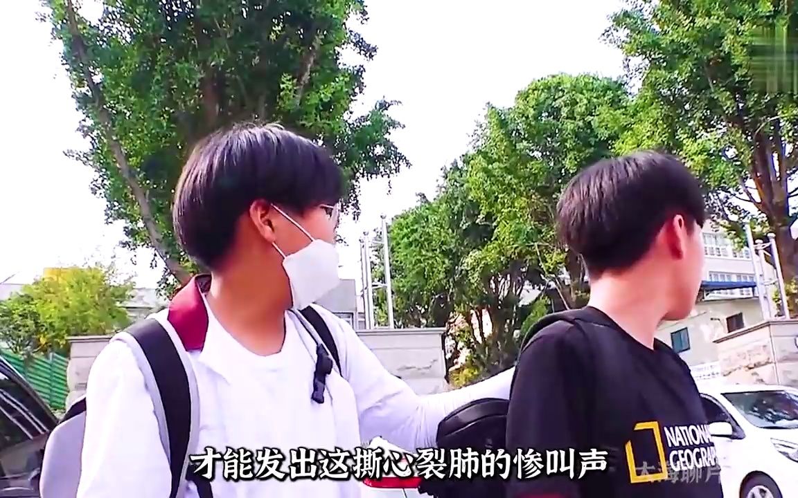 楼里天天传出,狗狗的凄厉惨叫声,附近的居民都出离愤怒了