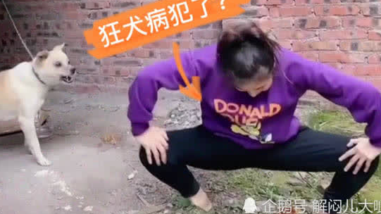 狗:我也没咬她呀,她狂犬病怎么犯了呢?