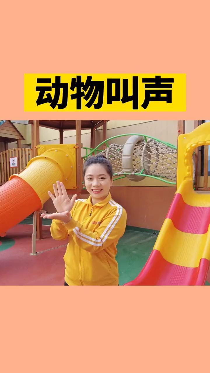 动物叫声,学跳简单手指舞,加强宝宝动物认知