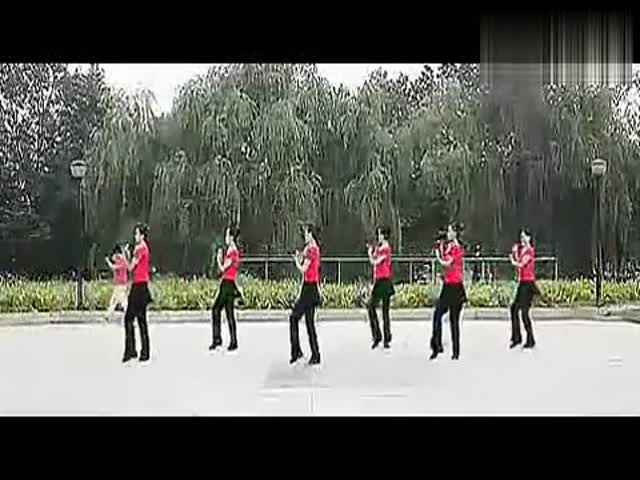 广场舞凤凰传奇 广场舞教学 广场舞蹈视频大全 标