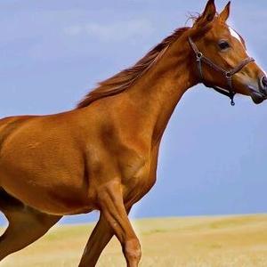 钢结构加工的人 