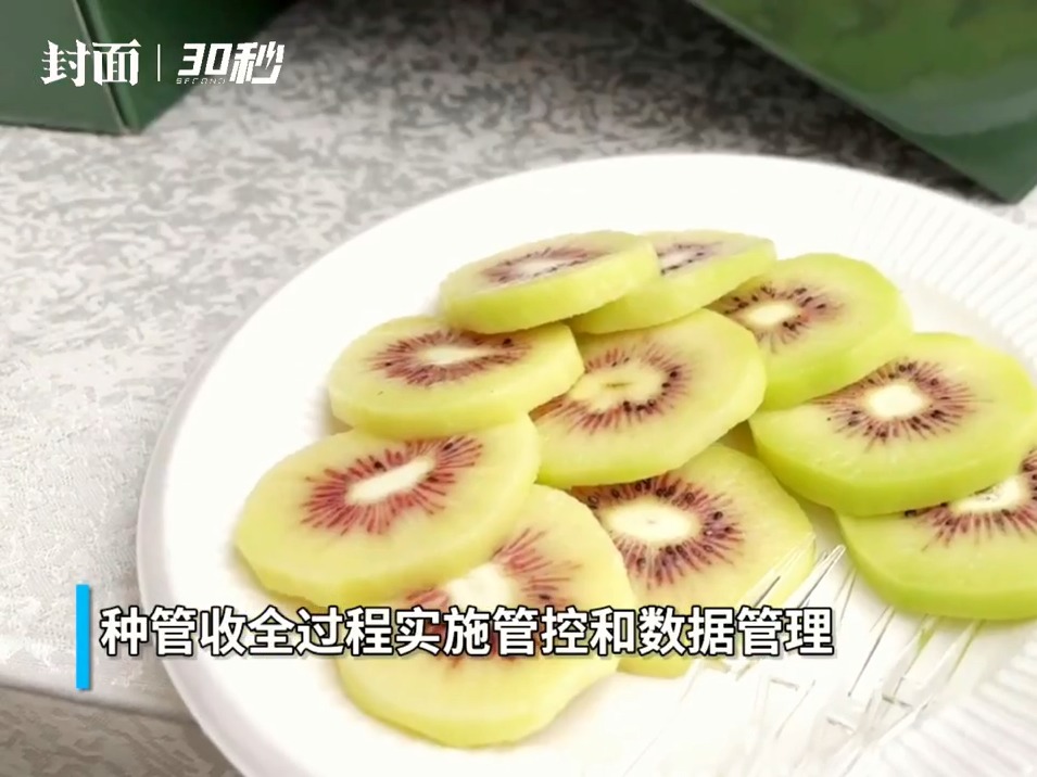 30秒 | 喜迎丰收 四川广元“原生长”红心猕猴桃“嘉嘉小猕”强势出圈