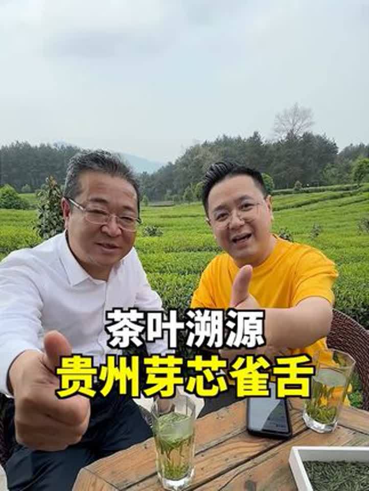 贵州芽芯雀舌 贵州湄潭的芽芯雀舌到底有多好喝!!!和普通的绿茶完全不...