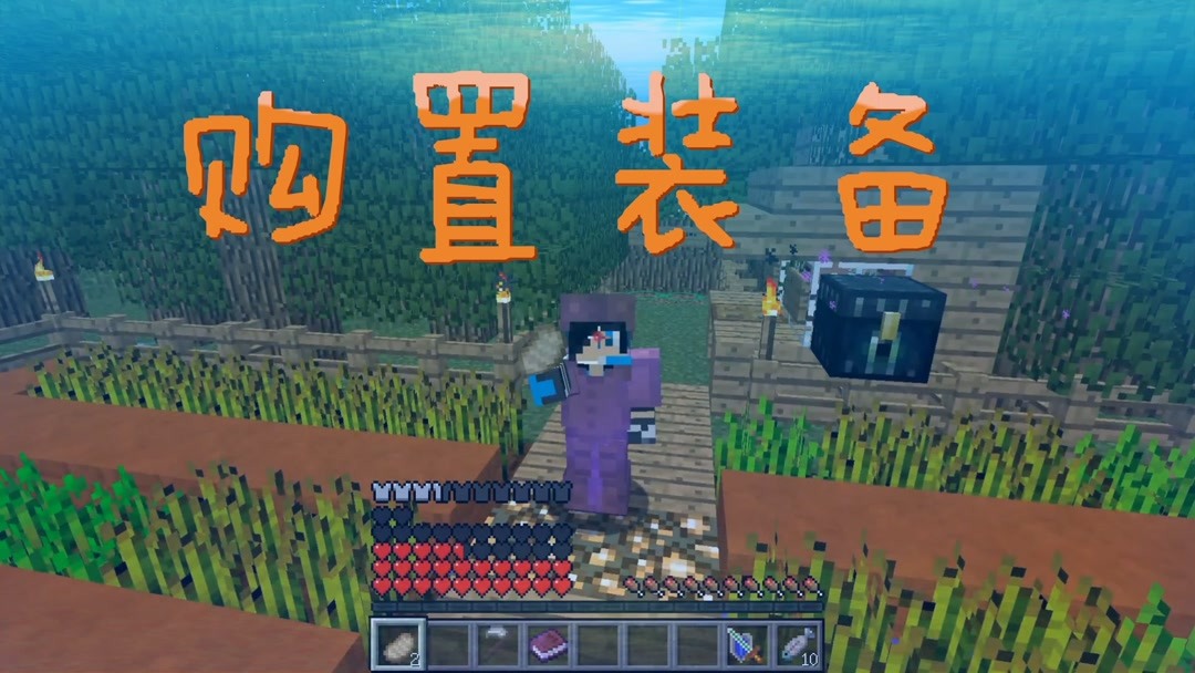 【血舞Crazy】我的世界菈姬传说2 购置装备
