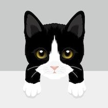 爱吐槽的绿茶君 