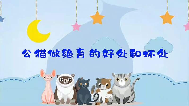 公猫做绝育的好处和坏处