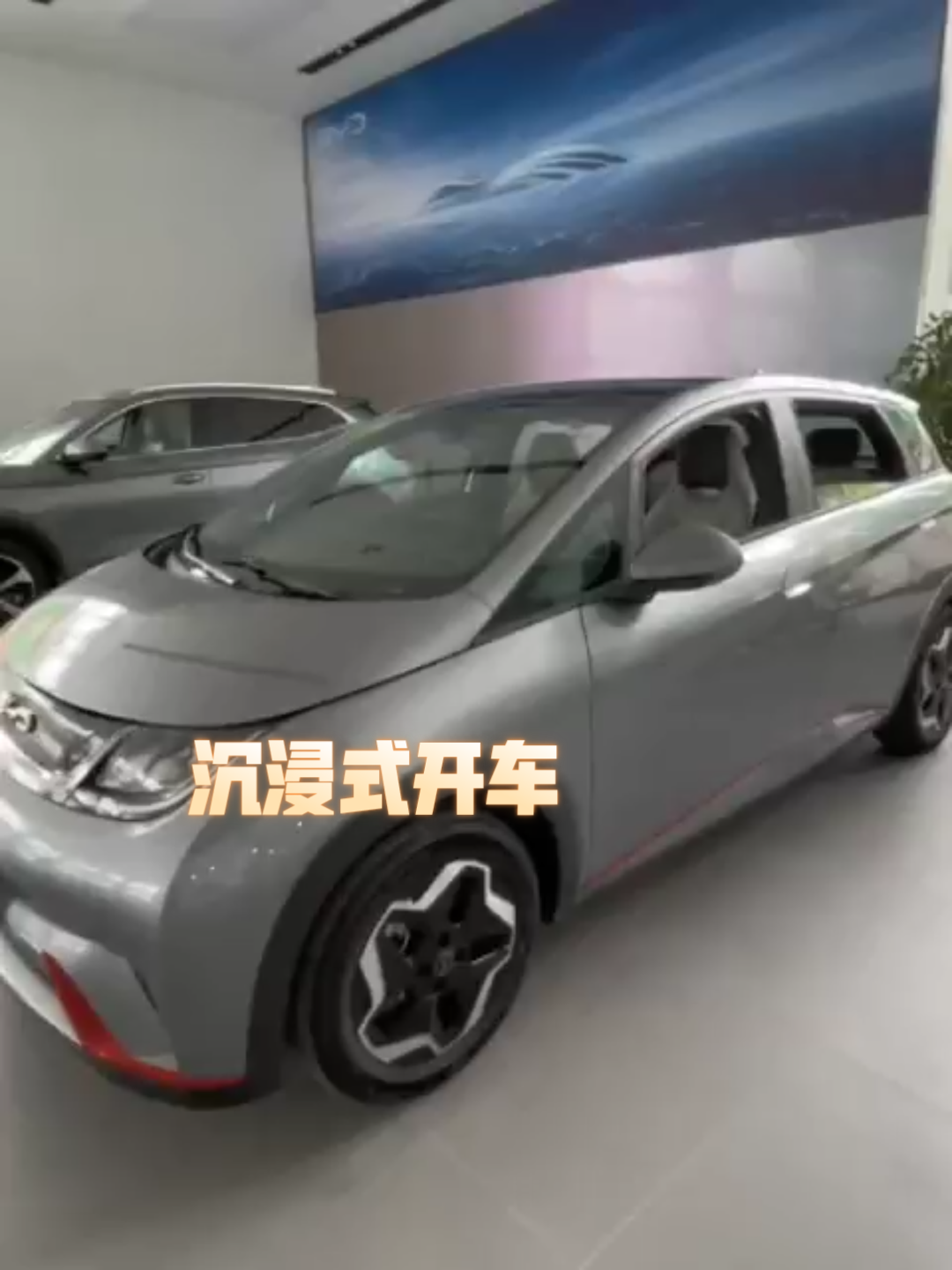 沉浸式开车,比亚迪海豚