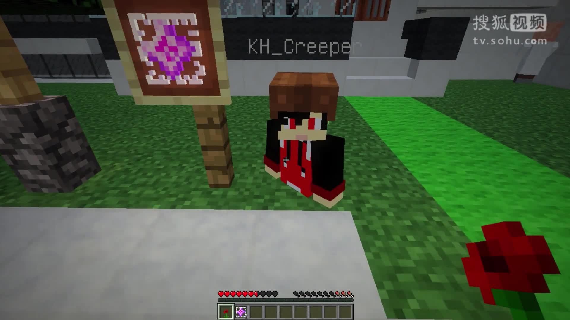 【皮卡】我的世界外星人的阴谋:过命兄弟被截肢卖艺〓Minecraft 麦块 ...