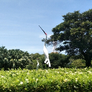 小怀同学yutian 