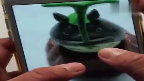 苹果手机拍照片放大时就会模糊?这几个小...