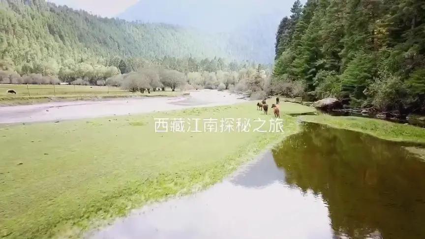 车驰世界屋脊,航拍高原骏马西藏林芝波密