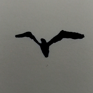 冲重鸟 