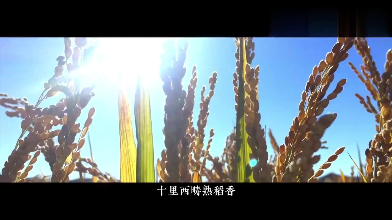 《乡村振兴齐鲁样板一一村村有好戏》宣传片