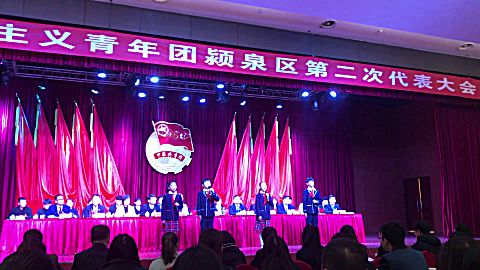 庄紫茜 颍泉区团代会 少先队代表发言2017.12.