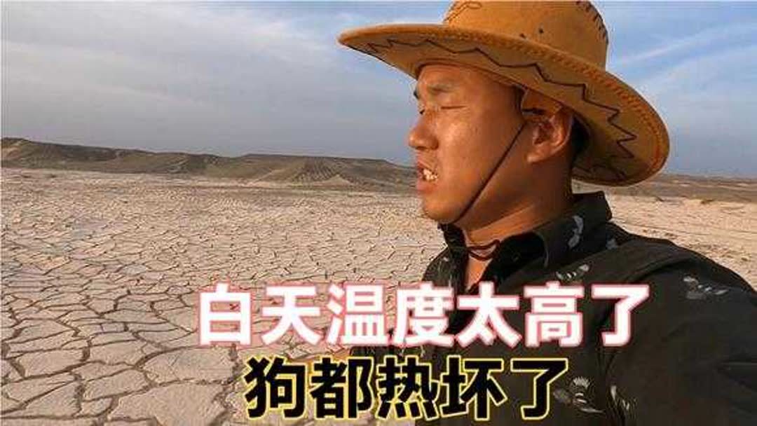 小伙带着二哈穿越罗布泊无人区,无人区深处发现干枯的湖心