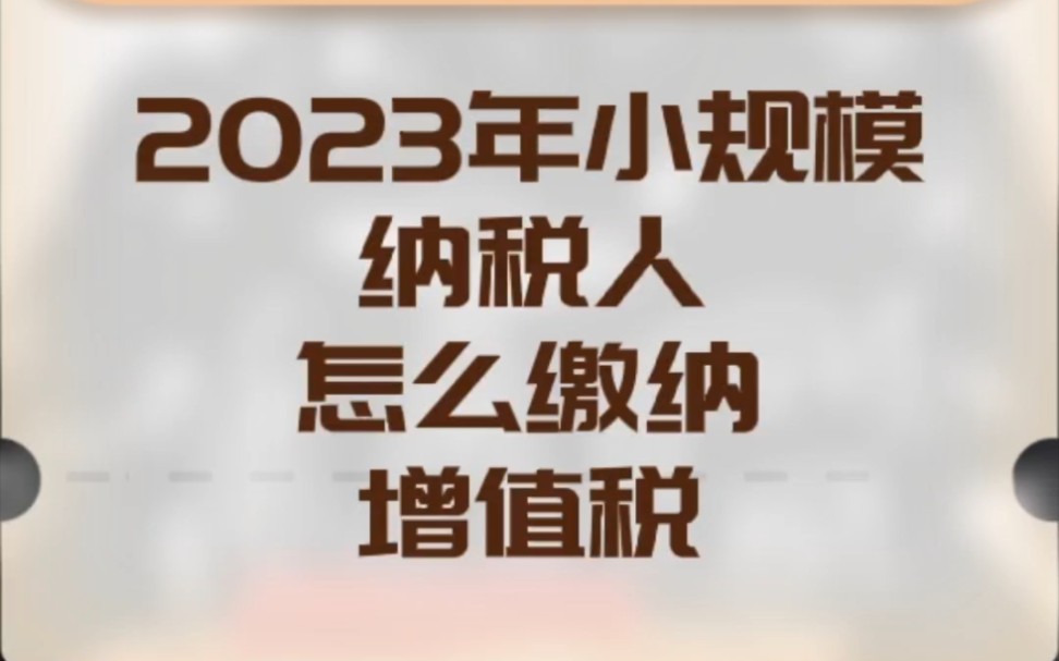 2023年小规模纳税人怎么缴纳增值税?
