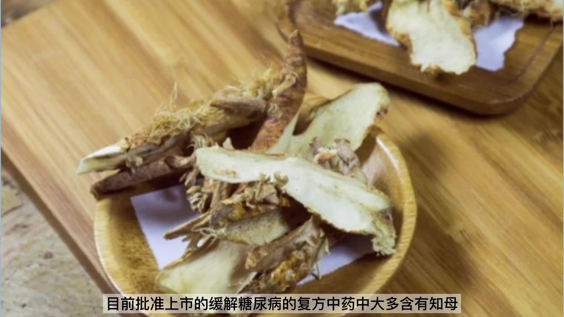 中药知母可缓解2型糖尿病模型大鼠肝脏代谢异常