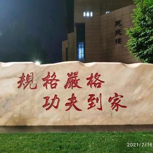 硕士科研小能手 