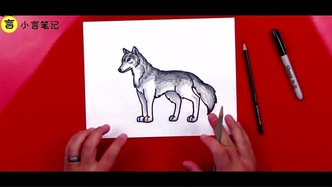 儿童趣味简笔画系列 5分钟学会画卡通狼 儿童简笔画教程
