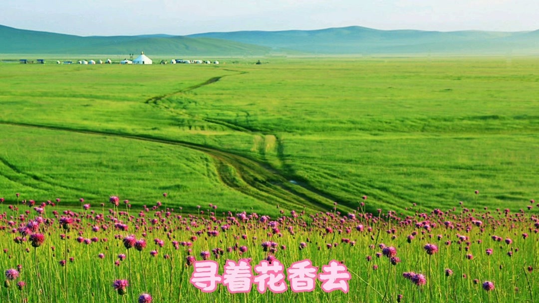 天籁传奇,不一样的版本…