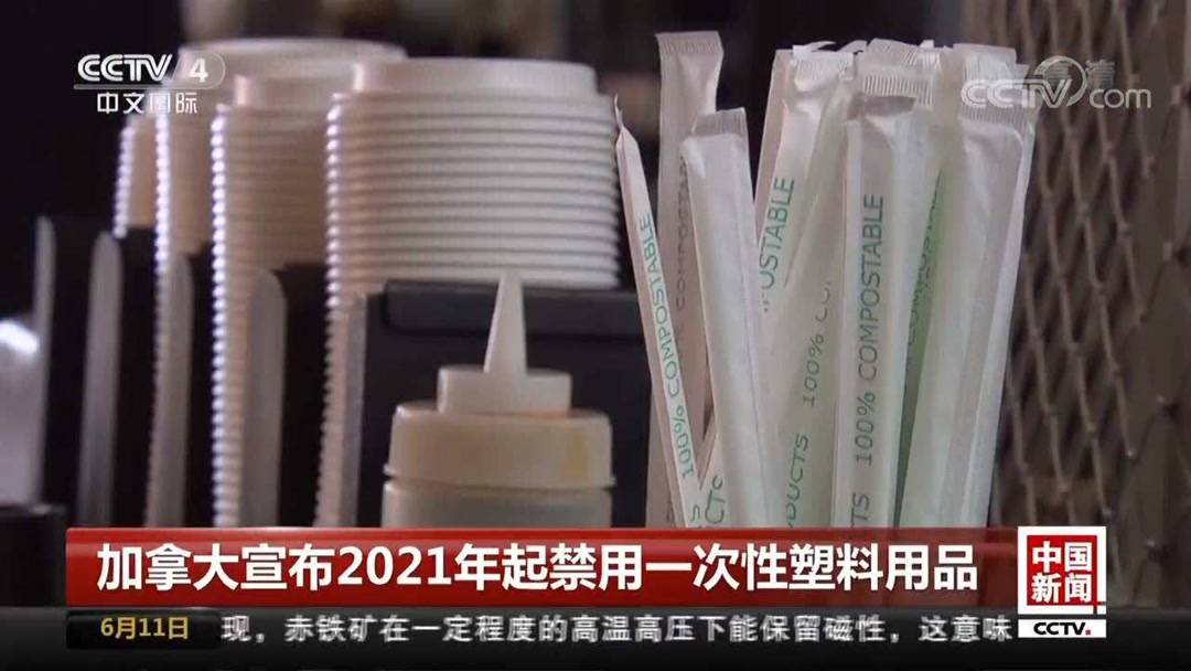 回收率不足一成,加拿大几年内将禁用一次性塑料制品