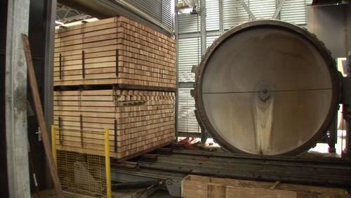 实拍国外锯木厂罕见自动剥皮机内部, 木板加工全程看不到一个人!