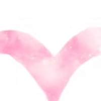 我和萌宠的小日常 