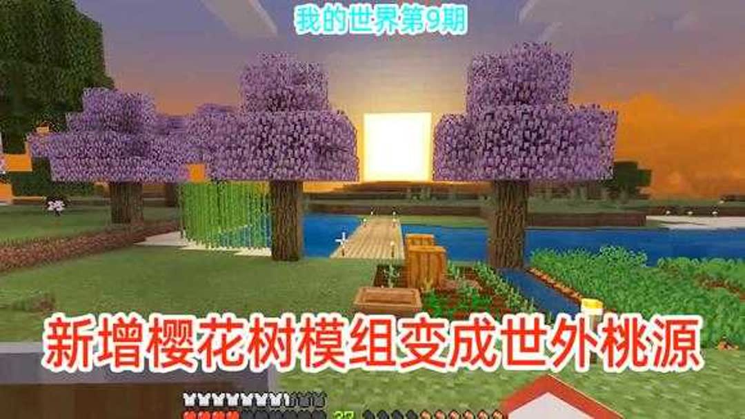 我的世界09:加了樱花树模组,我生活的地方升级成了世外桃源!