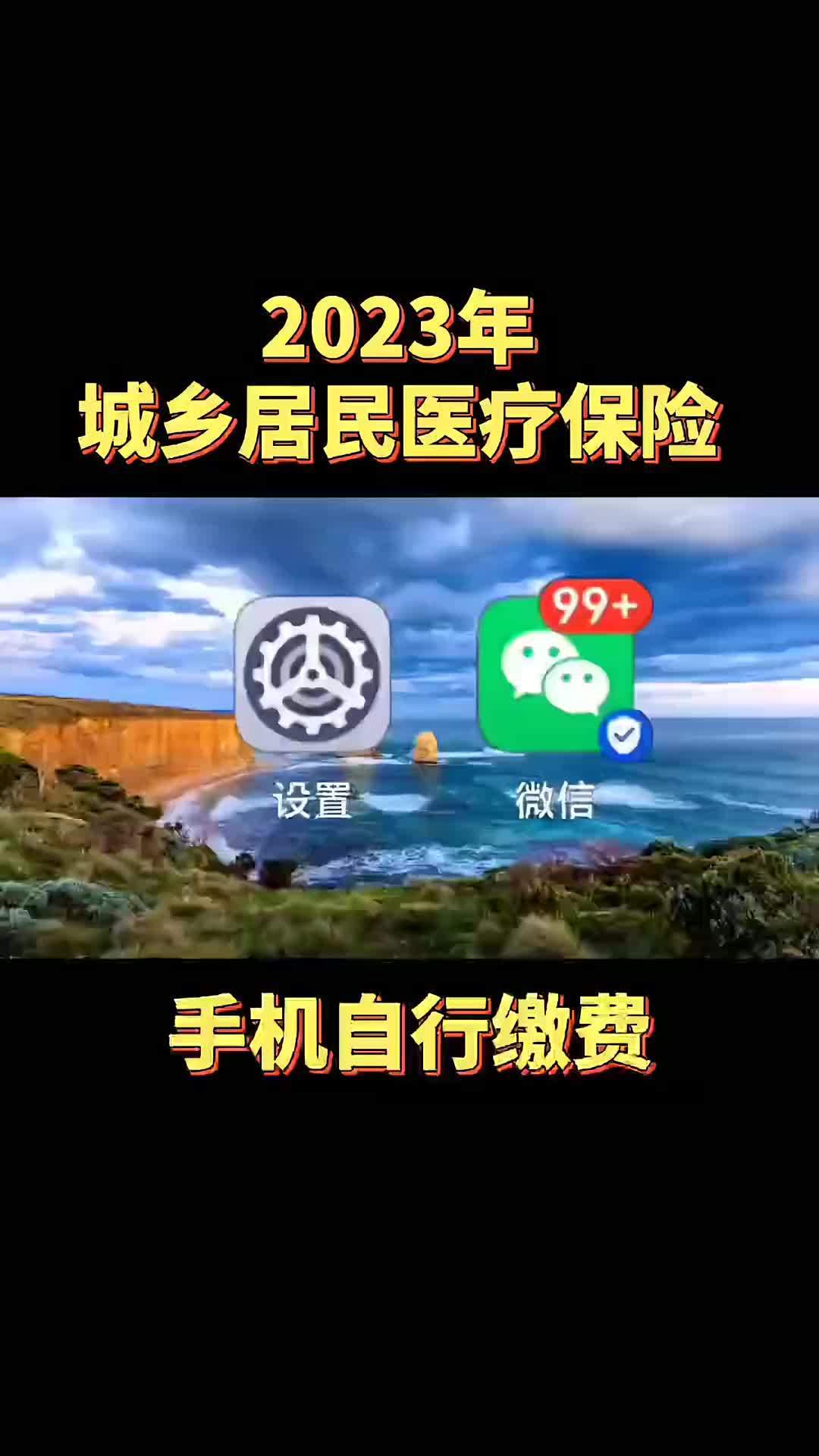 2023年城乡居民医疗保险,手机自行缴费