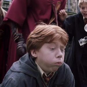 格兰芬多的小辰 