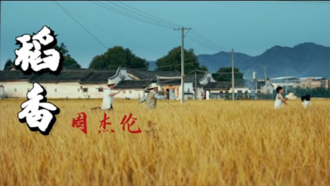 夏天就要听周杰伦的歌,再听《稻香》还是那个味道,是90后的青春