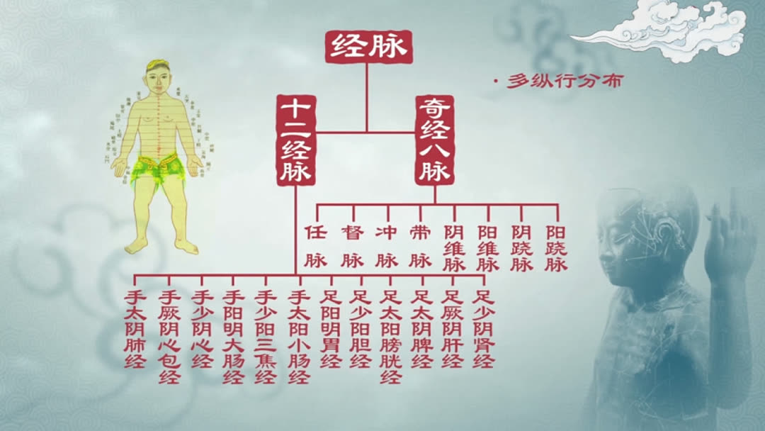 每个人身上都有一个巨型的网络,这个网络即错综复杂又有迹可循。