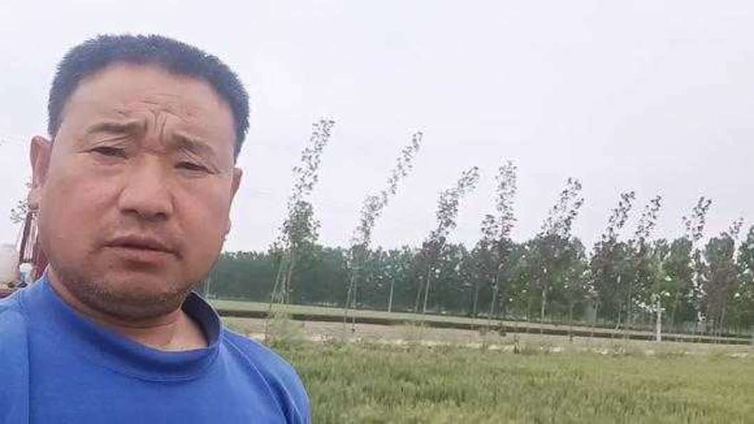 一种民间传统的中草药--猫眼草,它的作用真不少