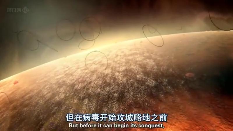 人体细胞与病毒之间的永恒博弈。堪称战争大片