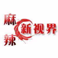 麻辣新视界 
