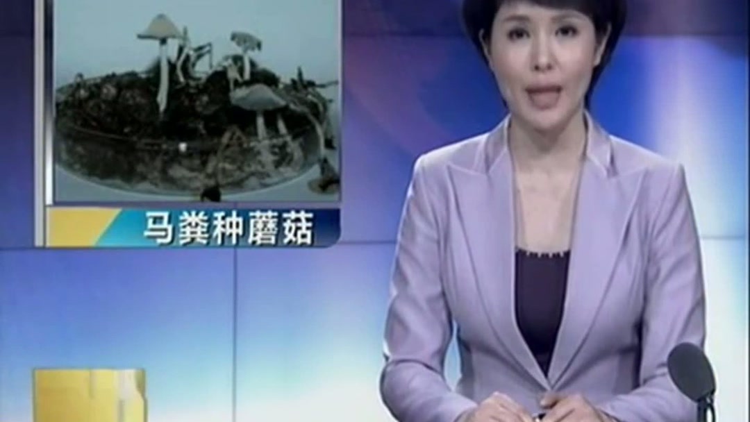 马粪种蘑菇 科学家研发新一代抗生素-all