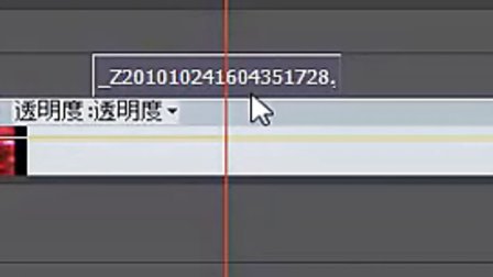 《PR》专业视频编辑软件(画中画)主讲-小平老师
