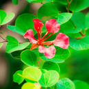 小米健身操广场舞 