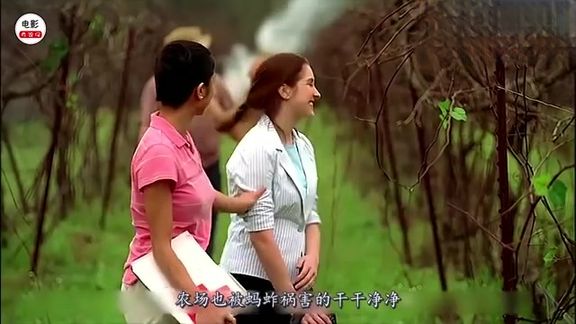 蝗虫过境:大群蝗虫席卷而来,人们躲房间观望,几分钟后冲了进来