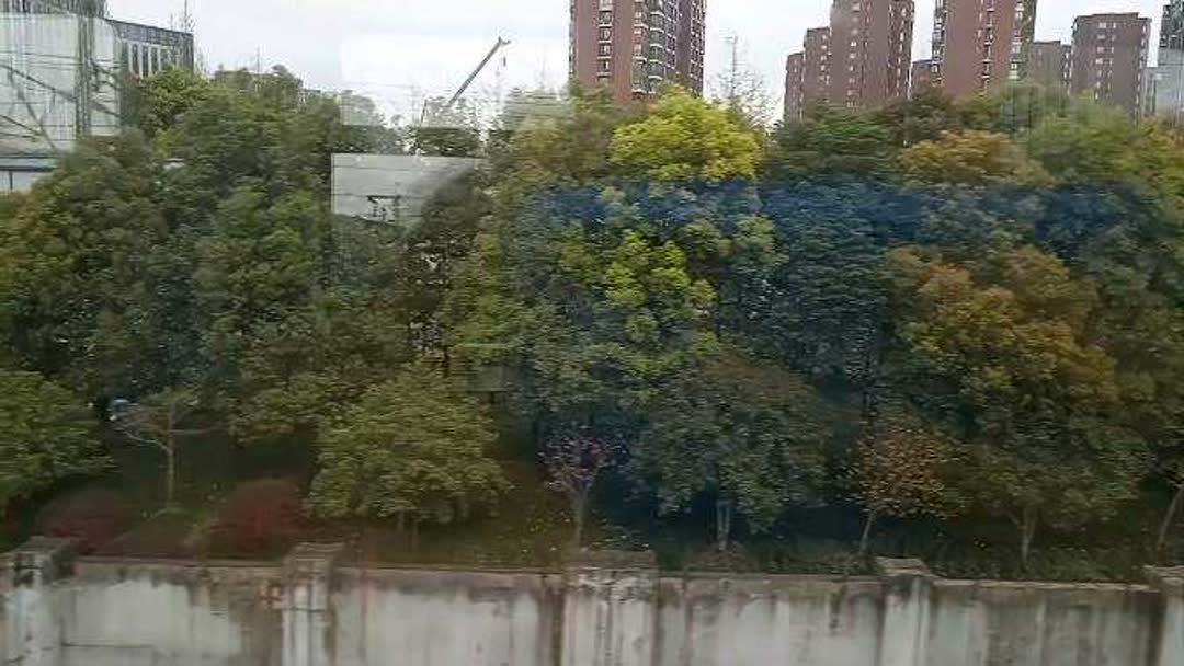 K1185次列车进杭州东站和杭州南站