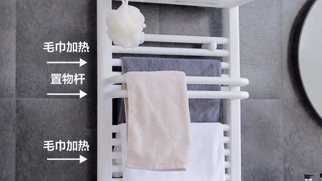丽臣电热毛巾架多重置物款0301D